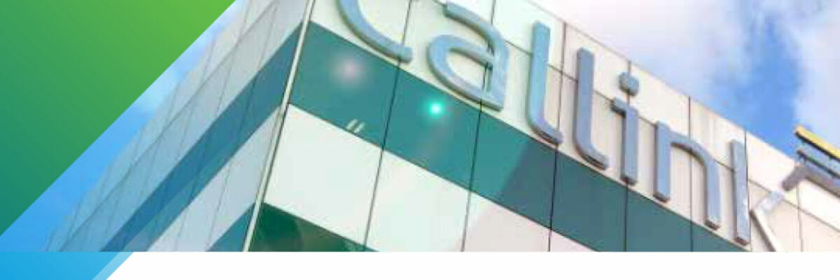 Callink implementa operação remota de atendimento - Decision Report